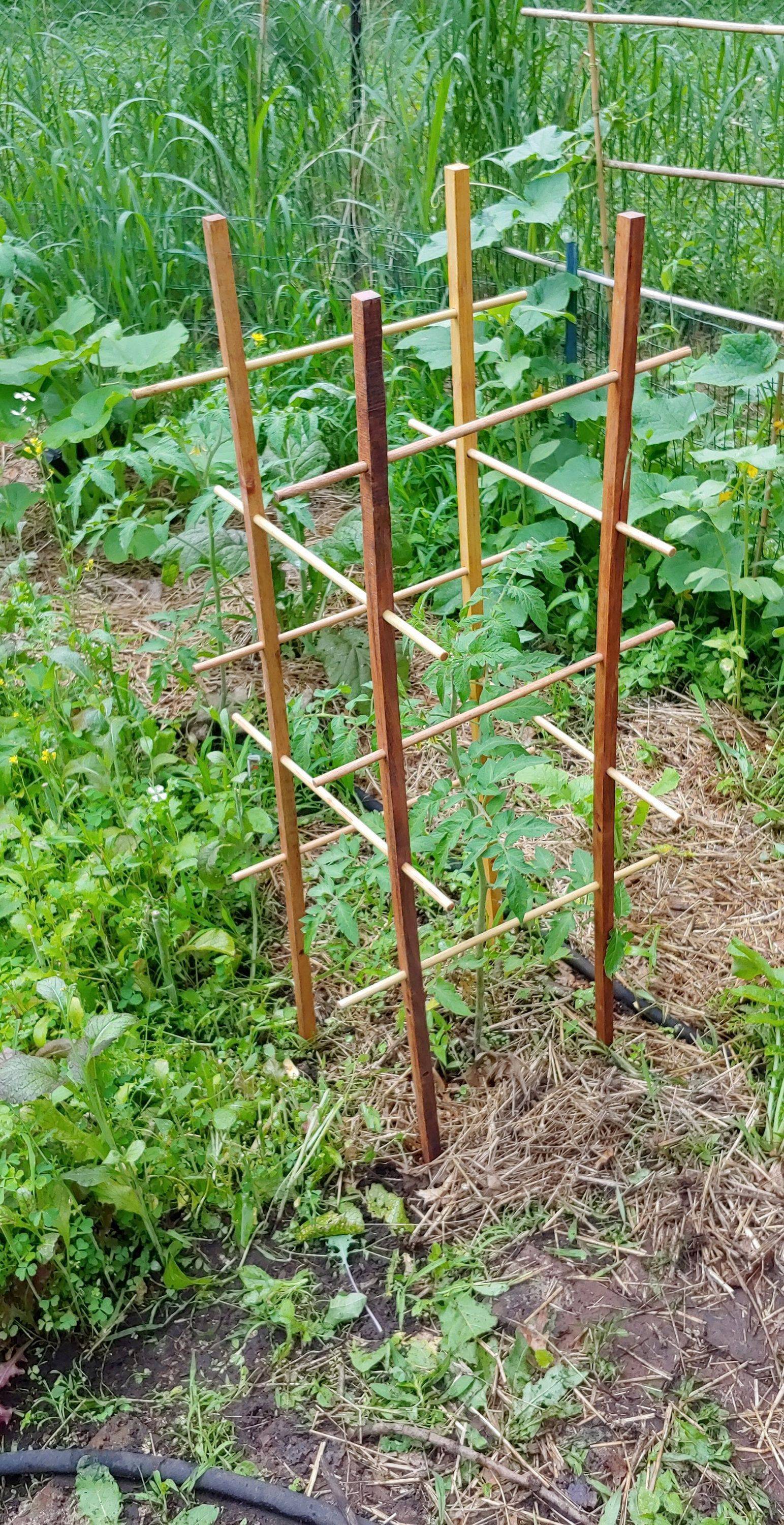 21 DIY Tomato Trellis Vegetable Garden Ideas To Consider | SharonSable