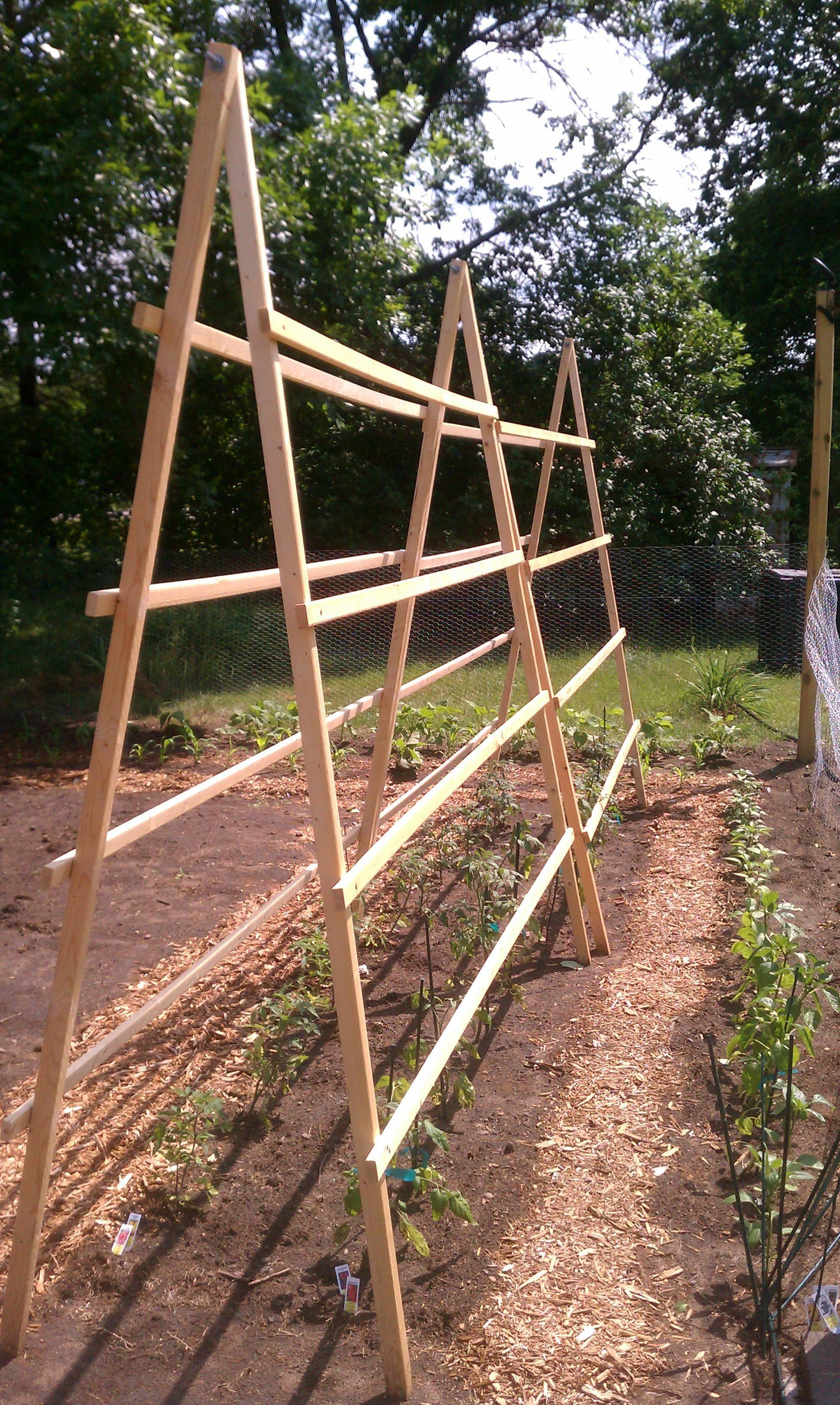 24 Garden Trellis for Tomatoes Ideas To Consider | SharonSable
