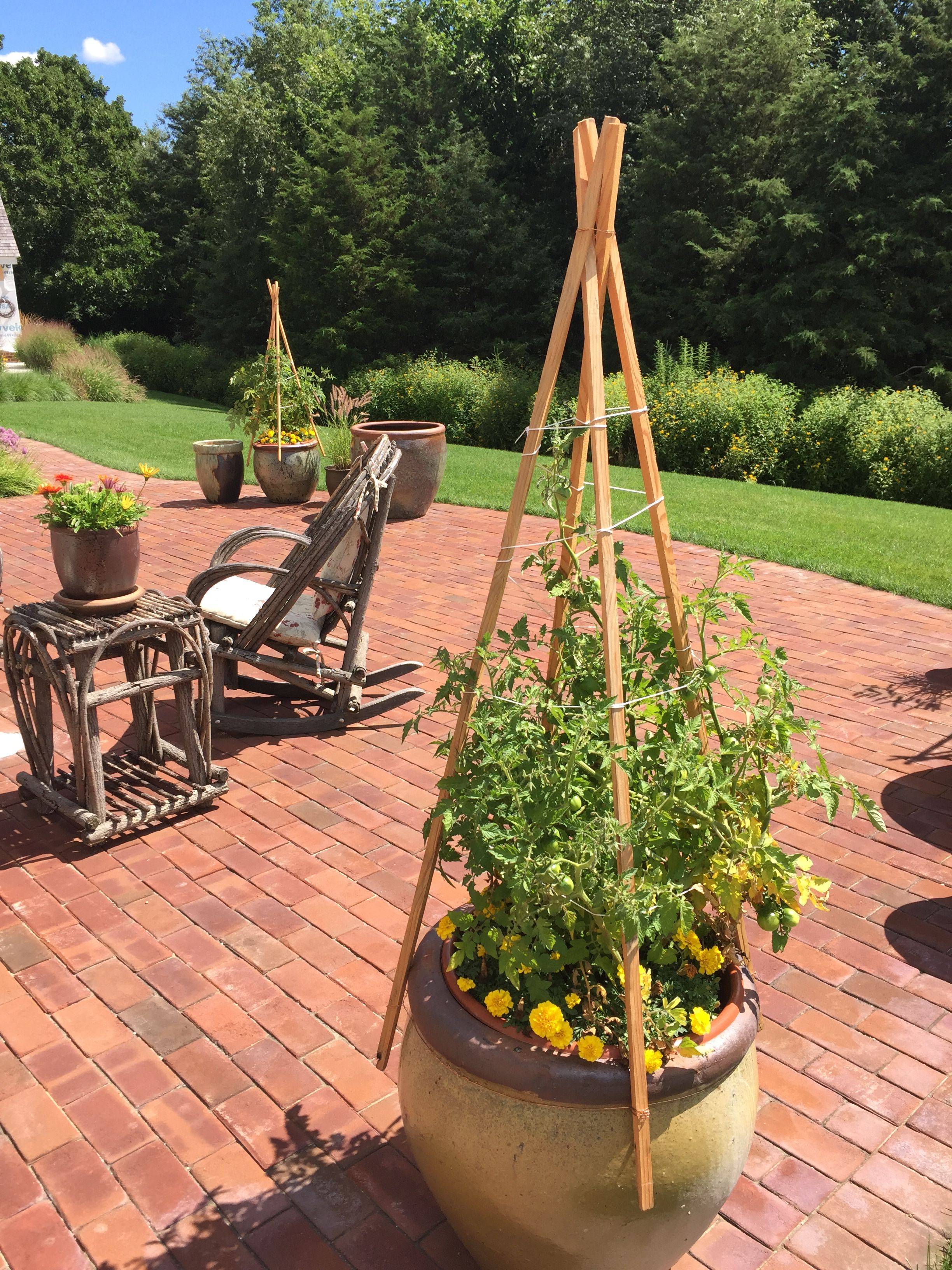 22 Ideas Vegetable Garden Trellis for Tomato You Gonna Love | SharonSable