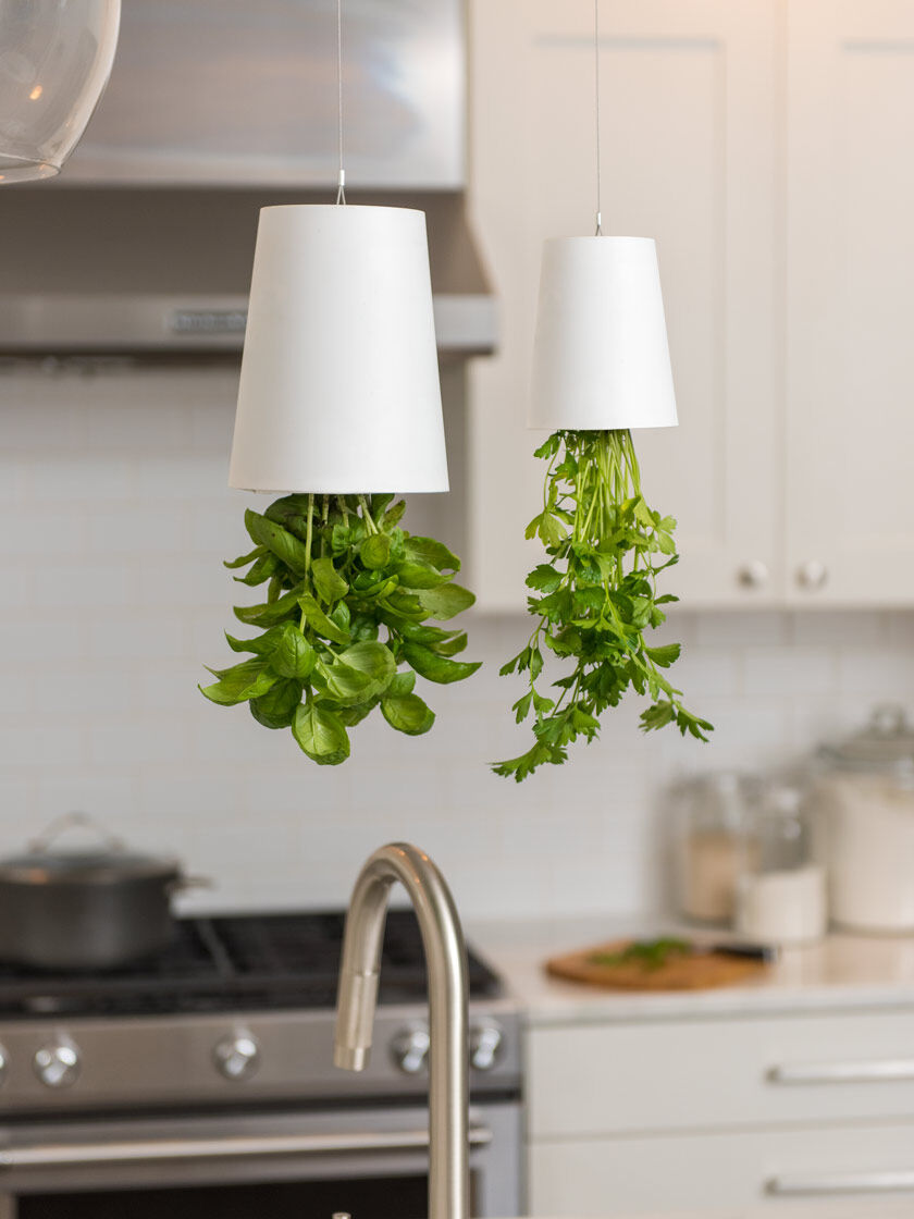 21 Upside Down Patio Garden Planter Ideas You Cannot Miss | SharonSable