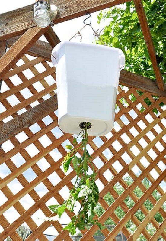 21 Upside Down Patio Garden Planter Ideas You Cannot Miss | SharonSable