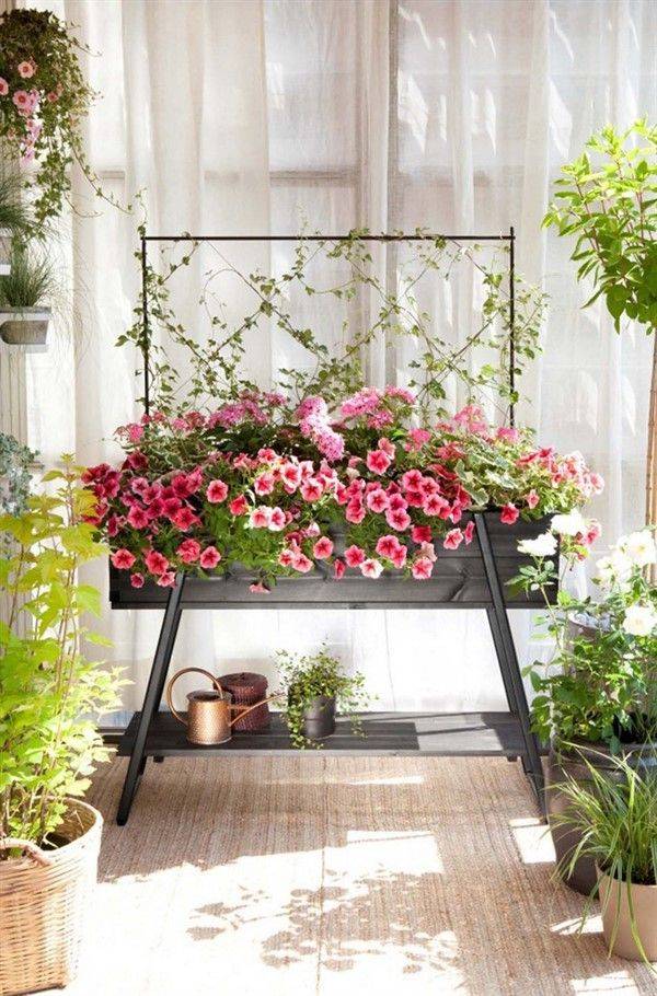 19 Easy Balcony Garden Ideas You Should Look | SharonSable