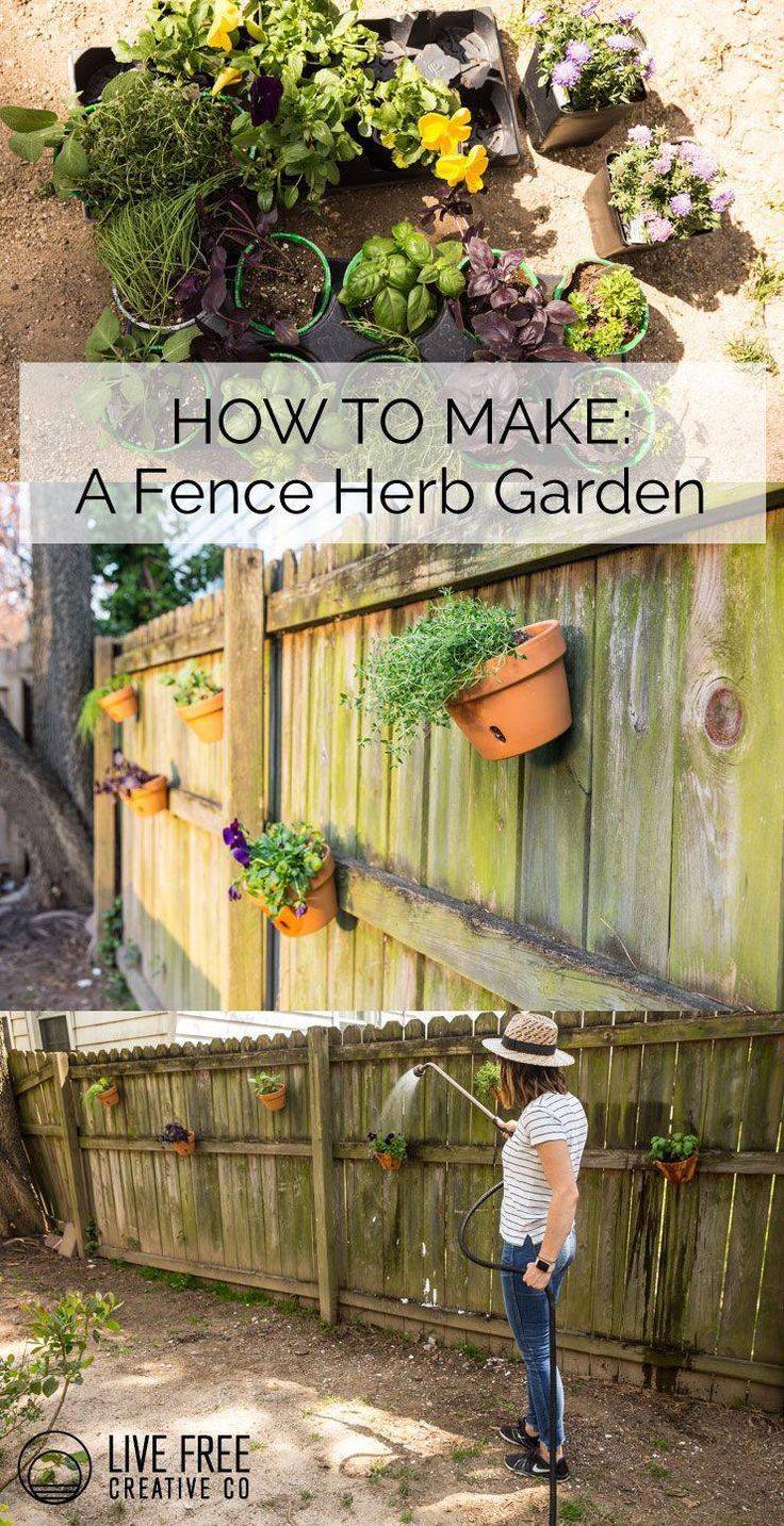 25 Herb Garden On Fence Ideas To Consider | SharonSable