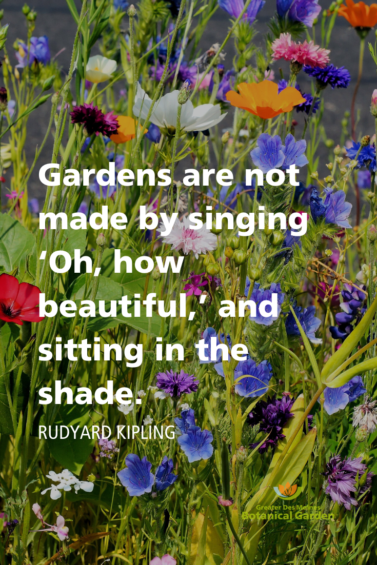 24 Vegetable Garden Sayings Ideas To Try This Year | SharonSable