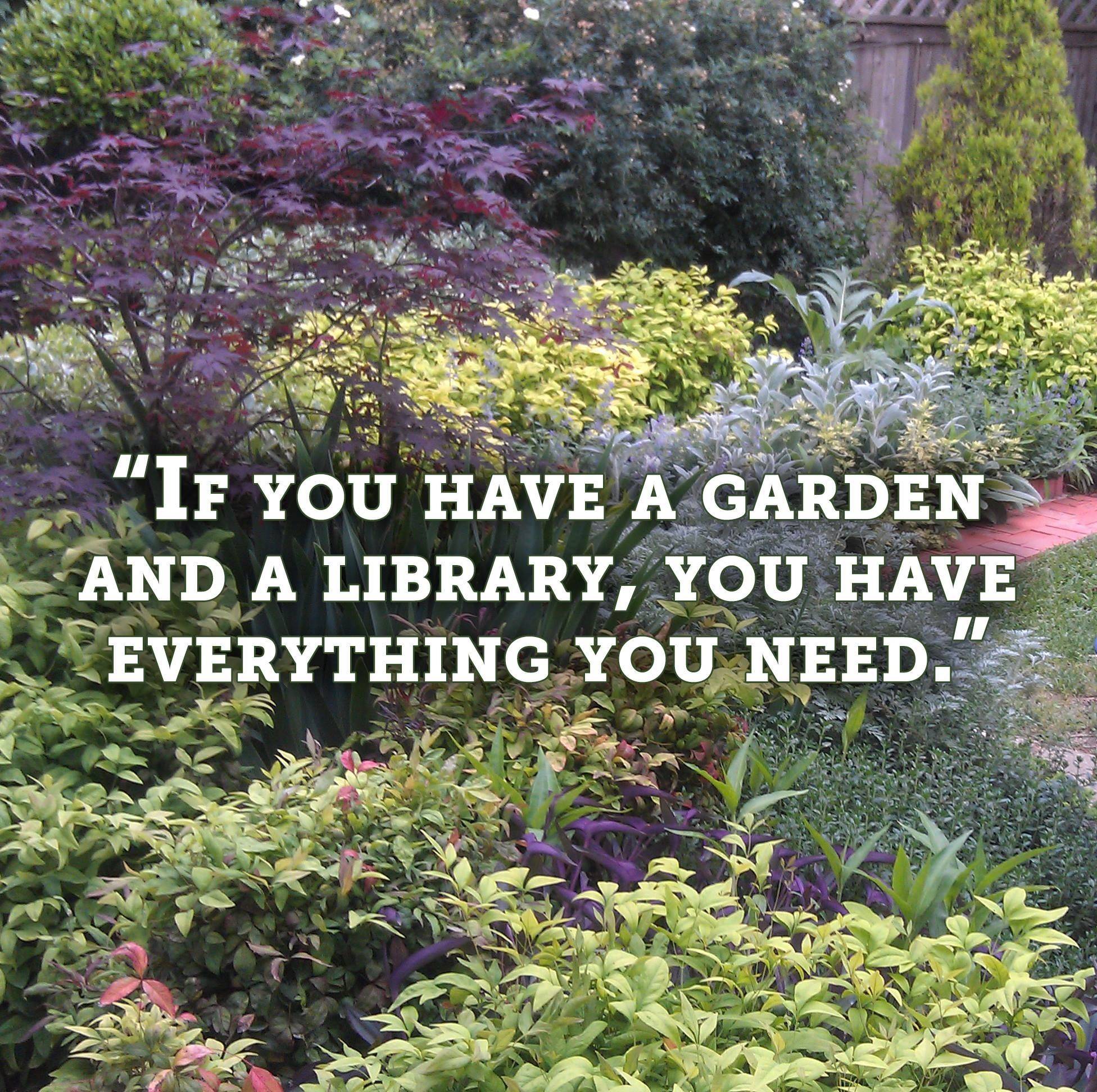 24 Vegetable Garden Sayings Ideas To Try This Year | SharonSable