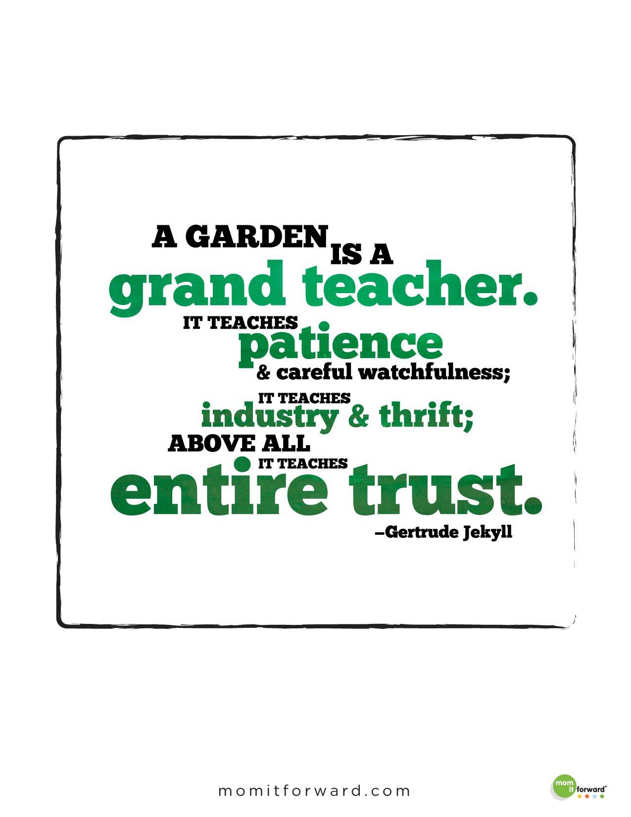 24 Vegetable Garden Sayings Ideas To Try This Year | SharonSable