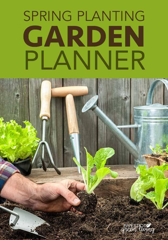 15 Early Spring Vegetable Garden Ideas You Cannot Miss | SharonSable