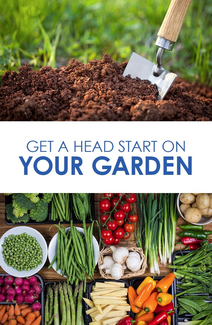 15 Early Spring Vegetable Garden Ideas You Cannot Miss | SharonSable