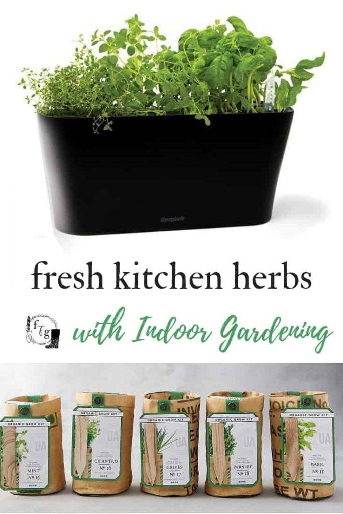 20 Best Indoor Herb Garden Kits Ideas For This Year | SharonSable