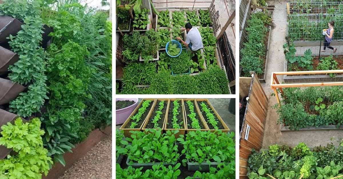 23 Space-Saving Vegetable Garden Ideas You Cannot Miss | SharonSable