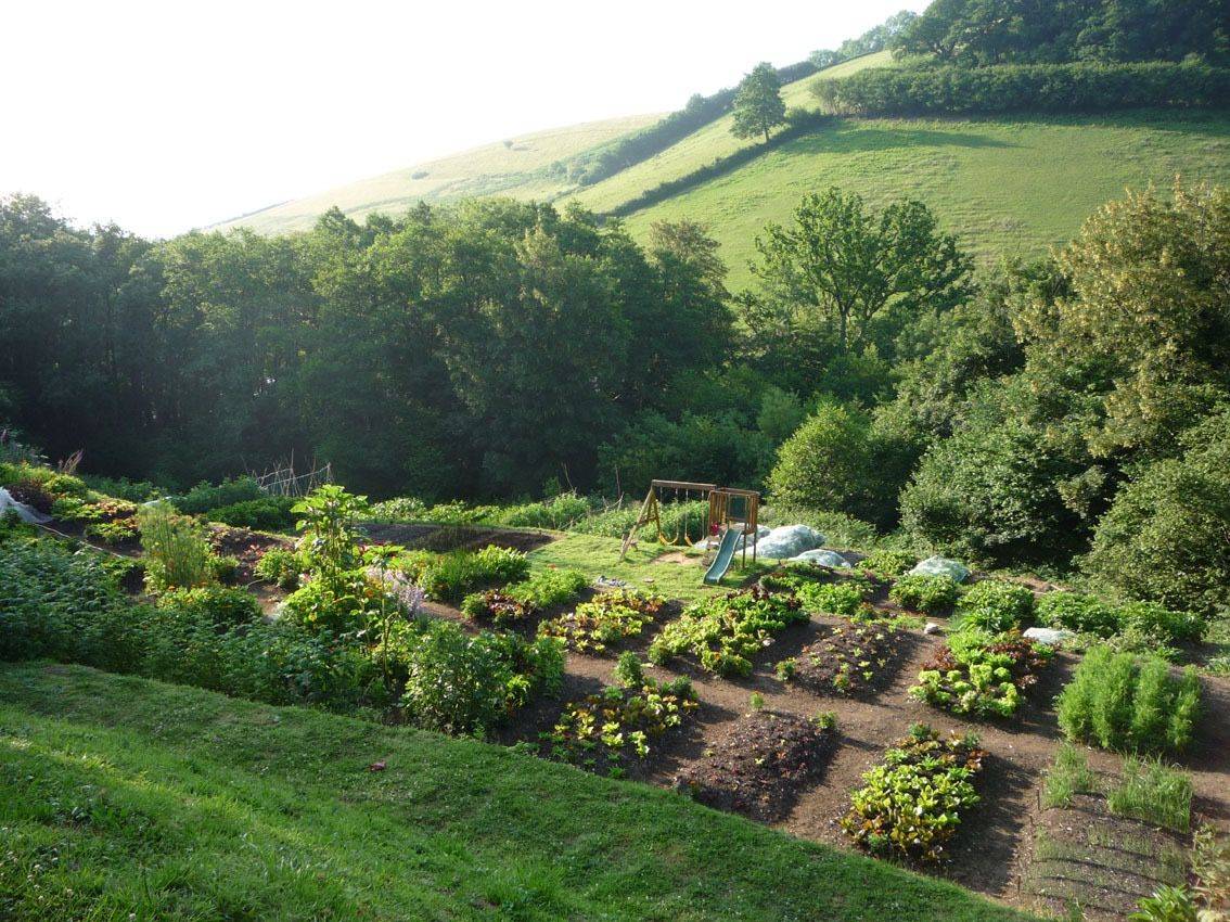 24 Permaculture Garden Design Plans Ideas You Should Check | SharonSable