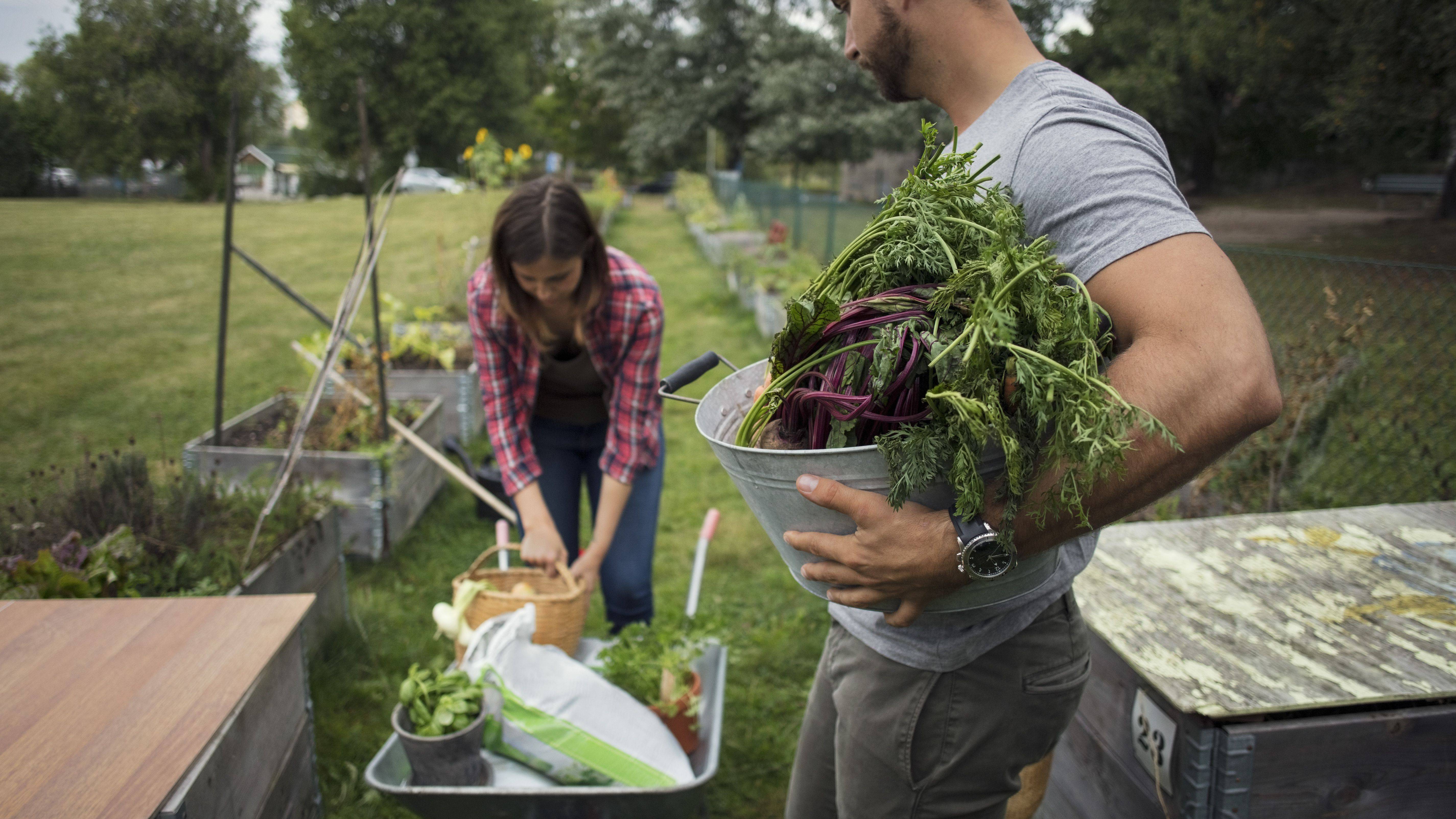 19 Examples of Permaculture Garden Design Ideas Worth a Look | SharonSable