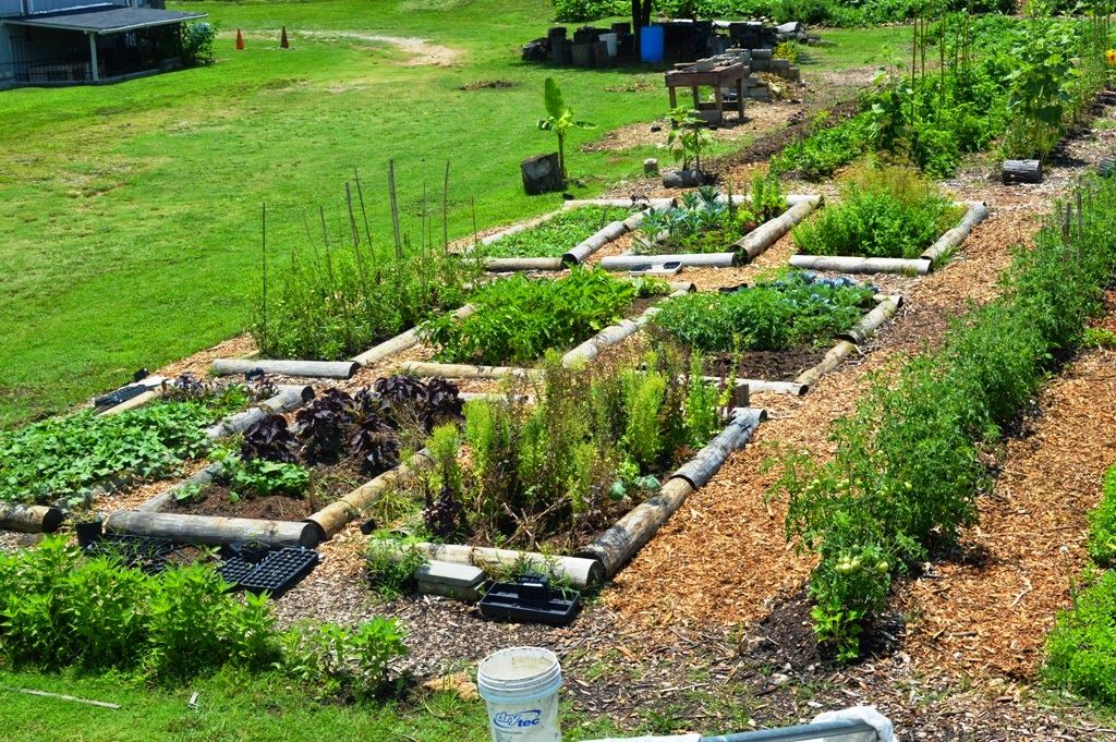 19 Examples of Permaculture Garden Design Ideas Worth a Look | SharonSable