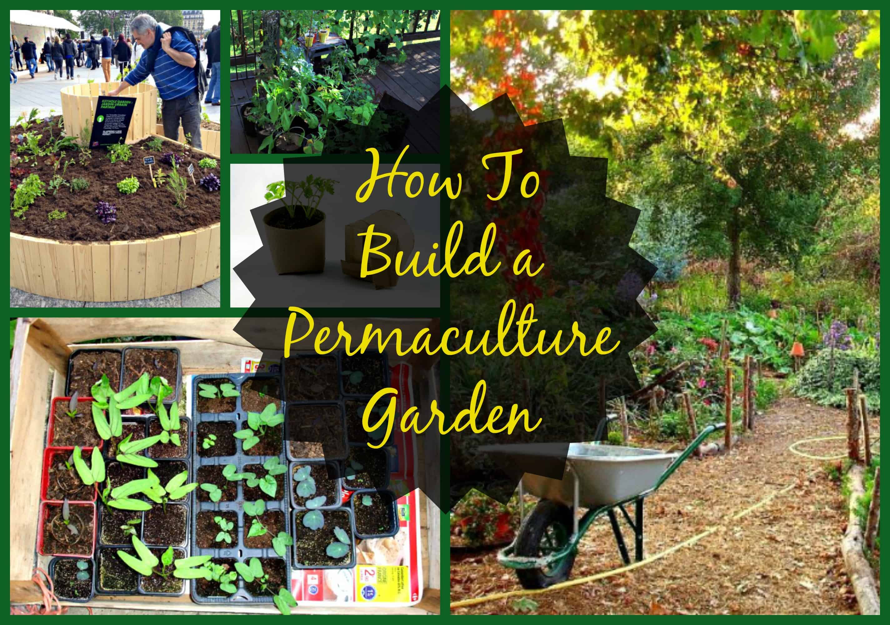19 Examples of Permaculture Garden Design Ideas Worth a Look | SharonSable
