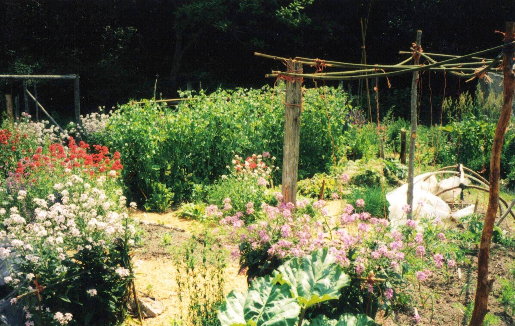 21 Permaculture Garden Plan Back Yard Ideas You Must Look | SharonSable