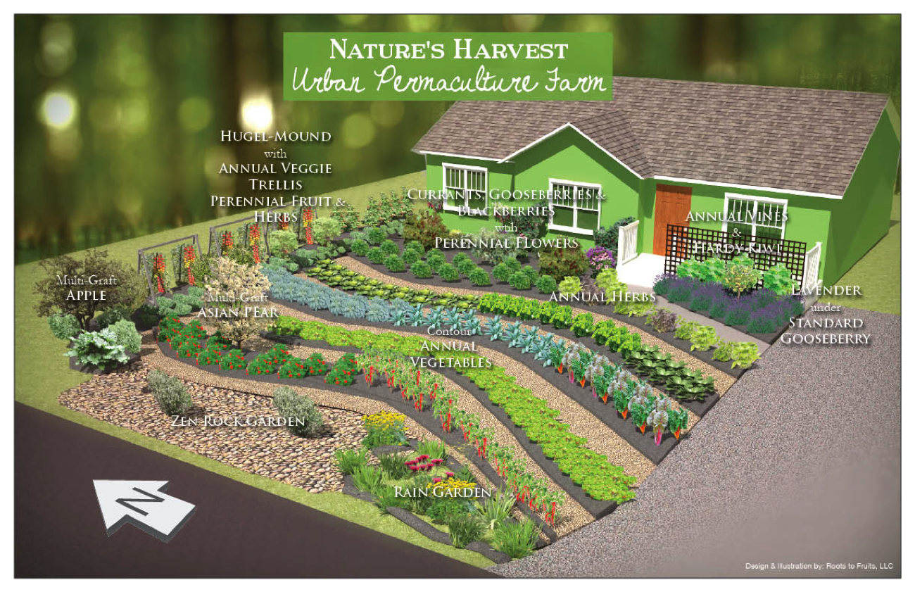 21 Permaculture Garden Plan Back Yard Ideas You Must Look | SharonSable