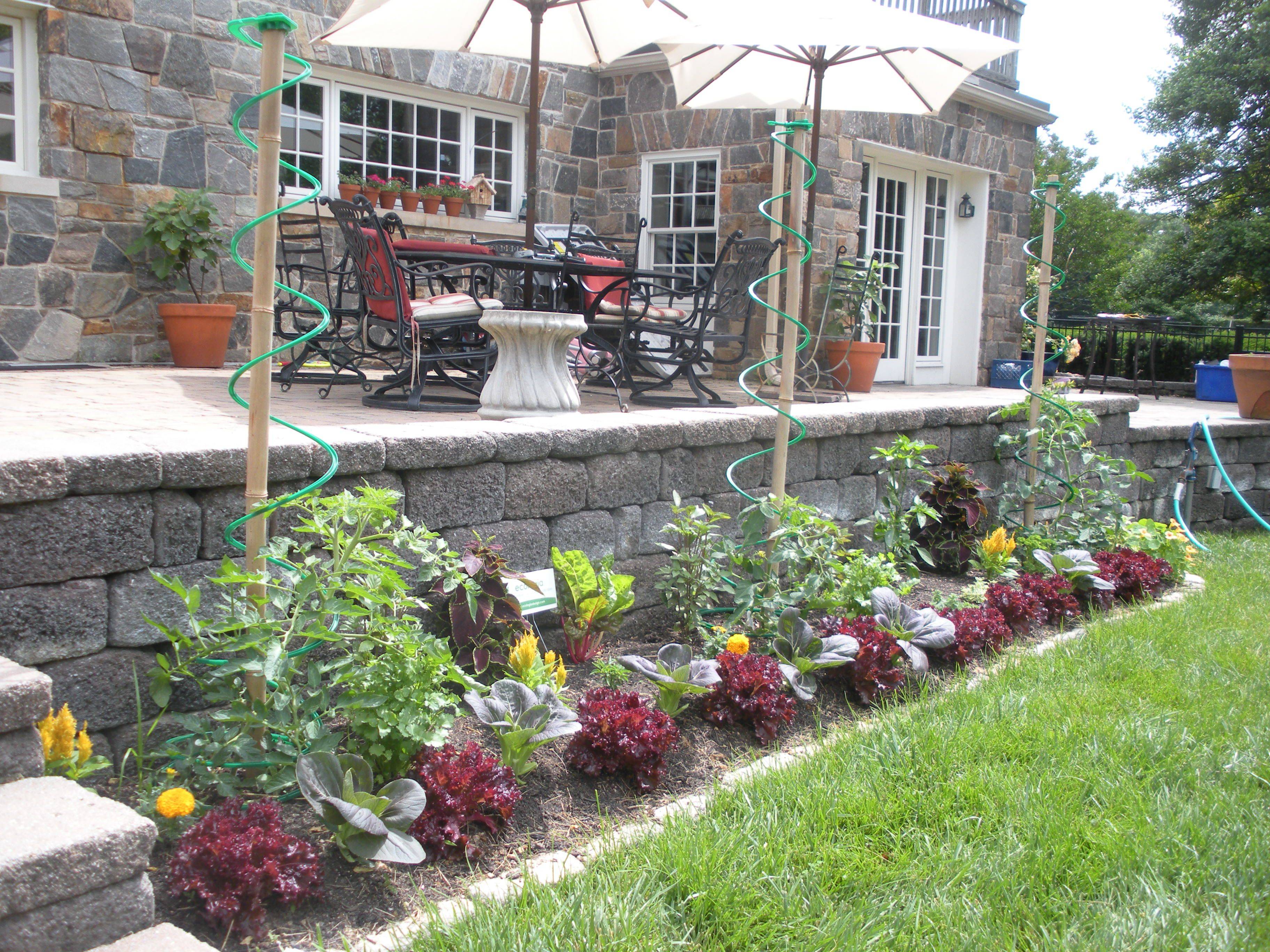 22 Beautiful Permaculture Garden Ideas For This Year | SharonSable