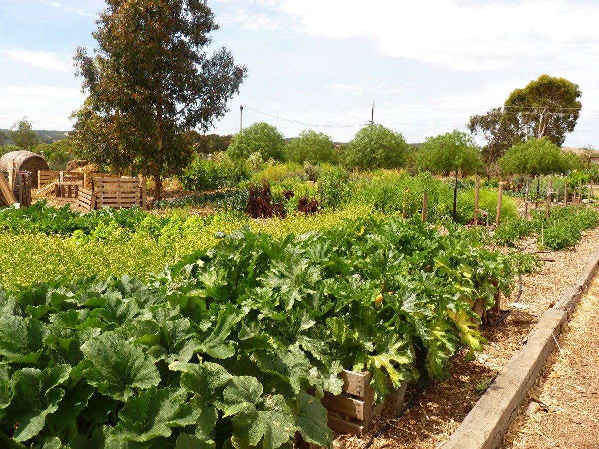 22 Beautiful Permaculture Garden Ideas For This Year | SharonSable