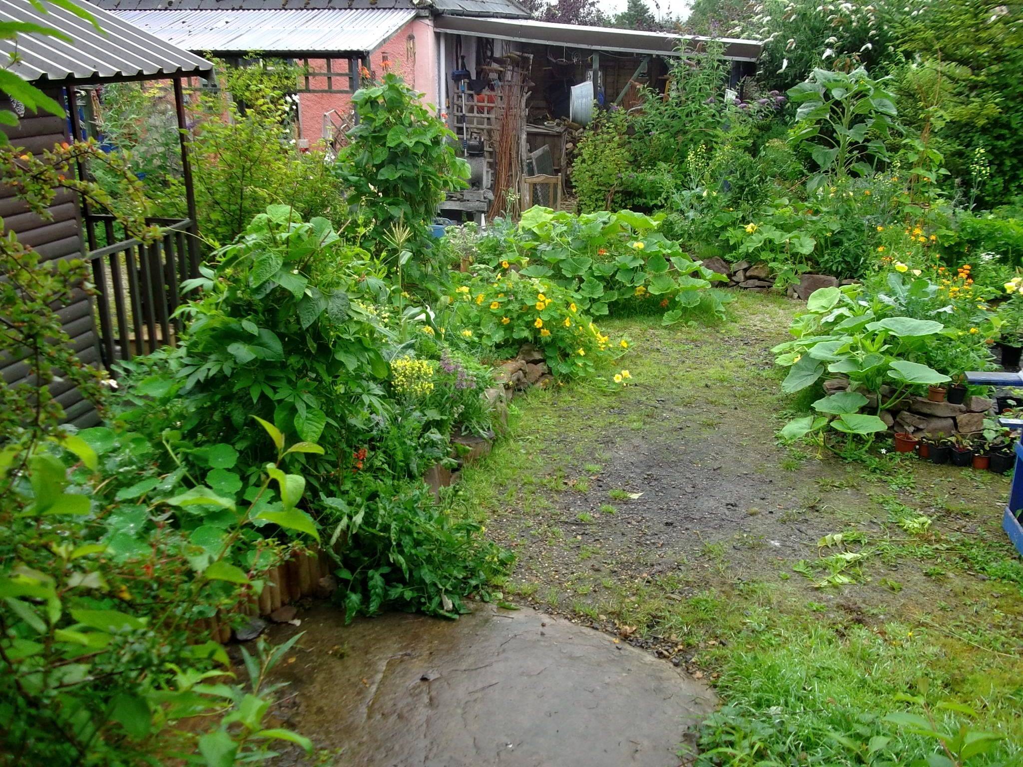 22 Beautiful Permaculture Garden Ideas For This Year | SharonSable