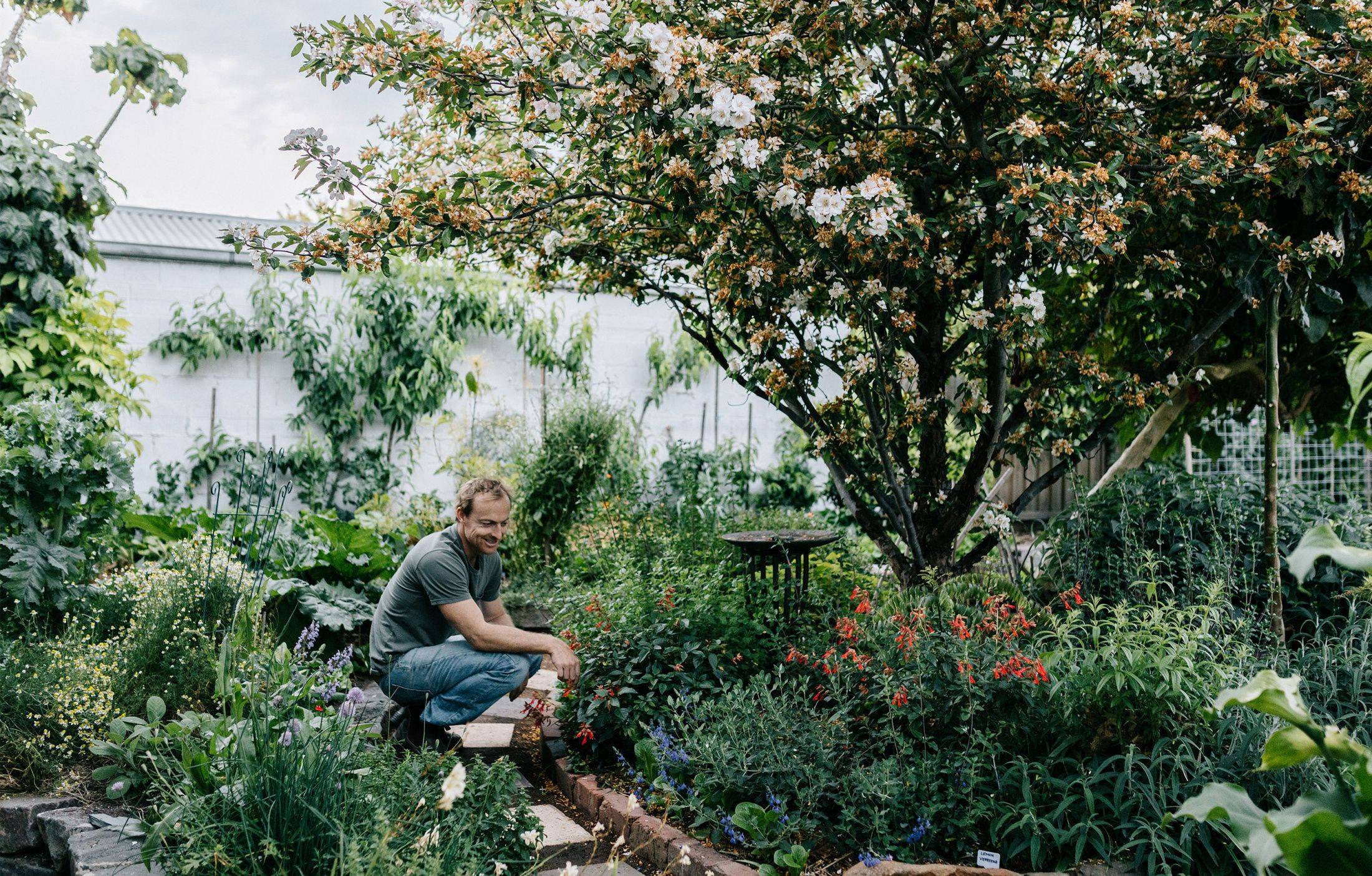 22 Beautiful Permaculture Garden Ideas For This Year | SharonSable