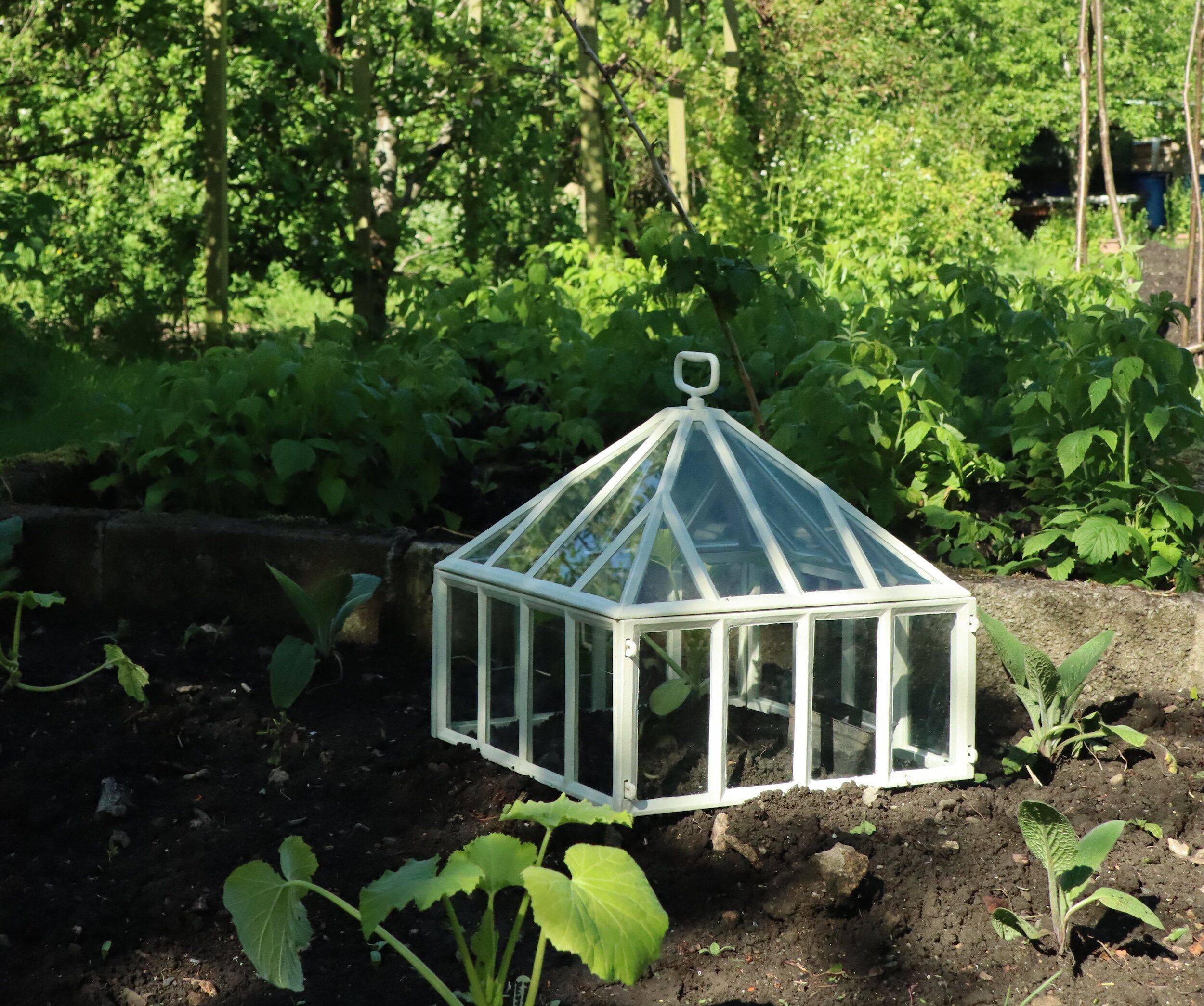 20 Kitchen Garden Cloche Ideas To Consider | SharonSable