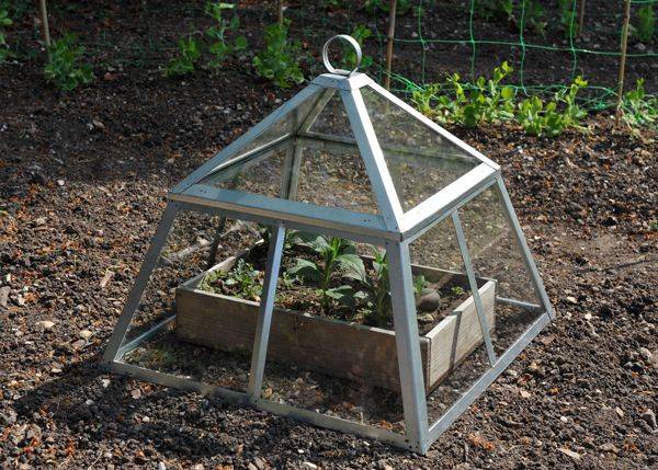 20 Kitchen Garden Cloche Ideas To Consider | SharonSable