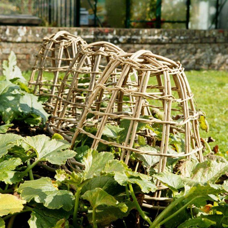 20 Kitchen Garden Cloche Ideas To Consider | SharonSable