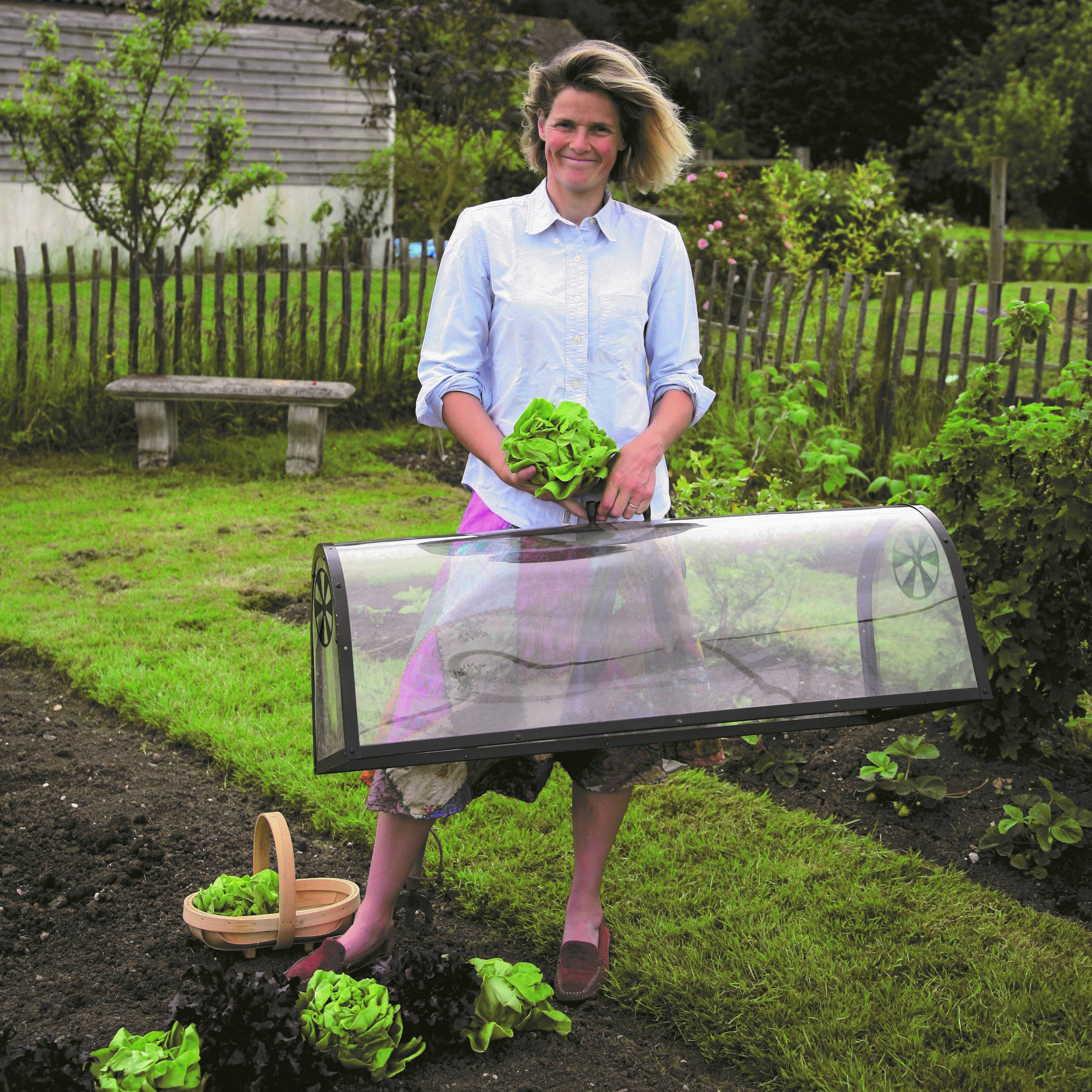 20 Kitchen Garden Cloche Ideas To Consider | SharonSable