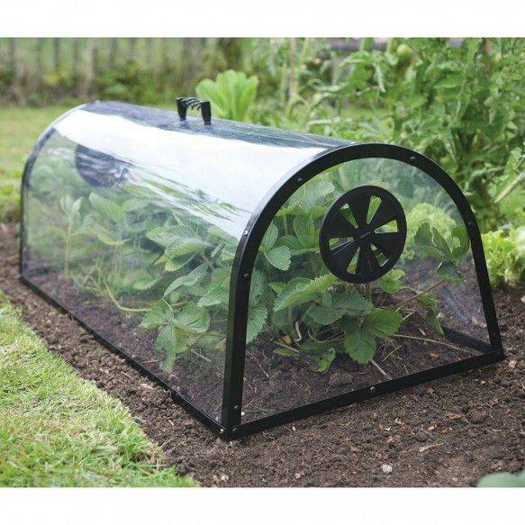 20 Kitchen Garden Cloche Ideas To Consider | SharonSable