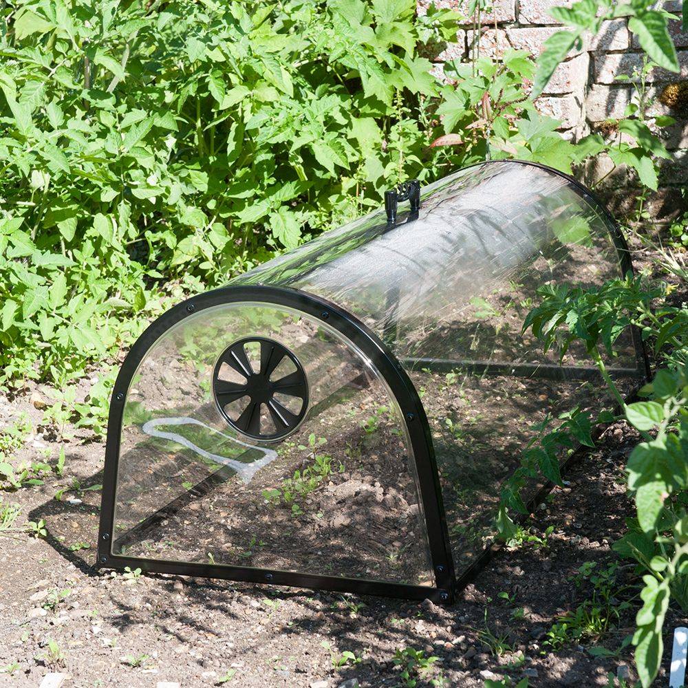 20 Kitchen Garden Cloche Ideas To Consider | SharonSable