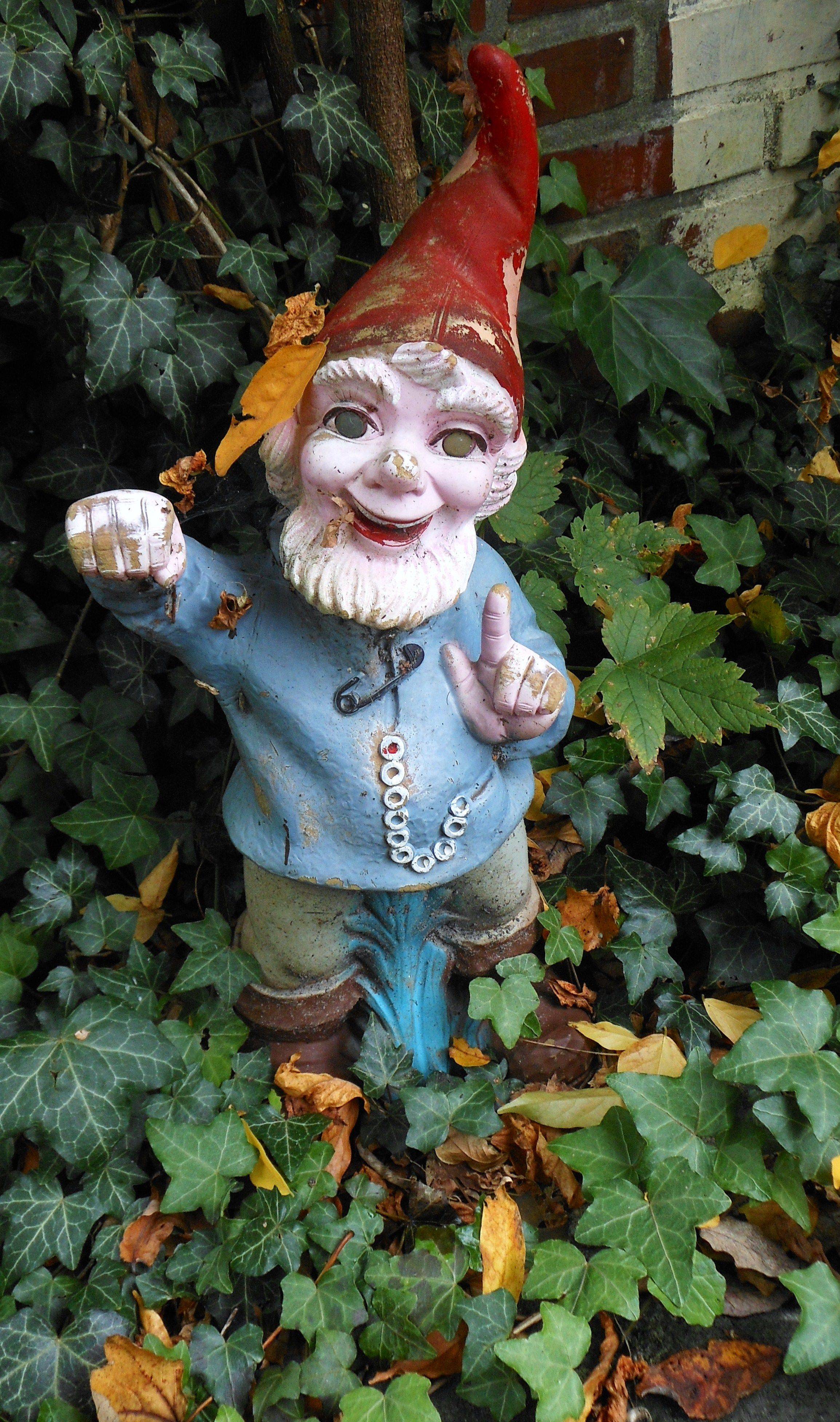 19 Garden Gnomes Set Ideas You Should Check | SharonSable