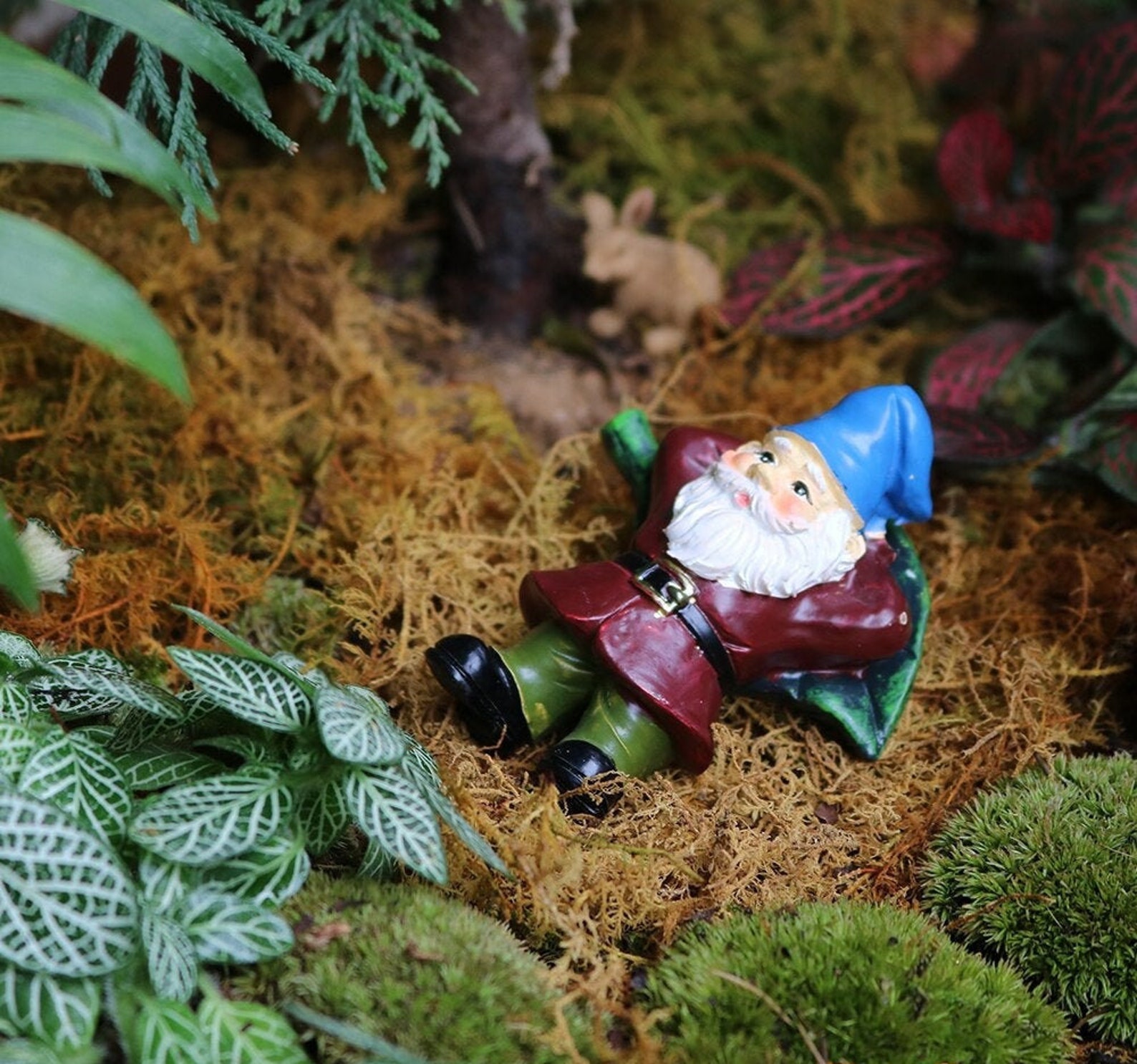 19 Garden Gnomes Set Ideas You Should Check | SharonSable