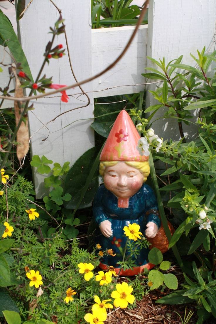 20 Flower Garden Gnome Ideas Worth a Look | SharonSable