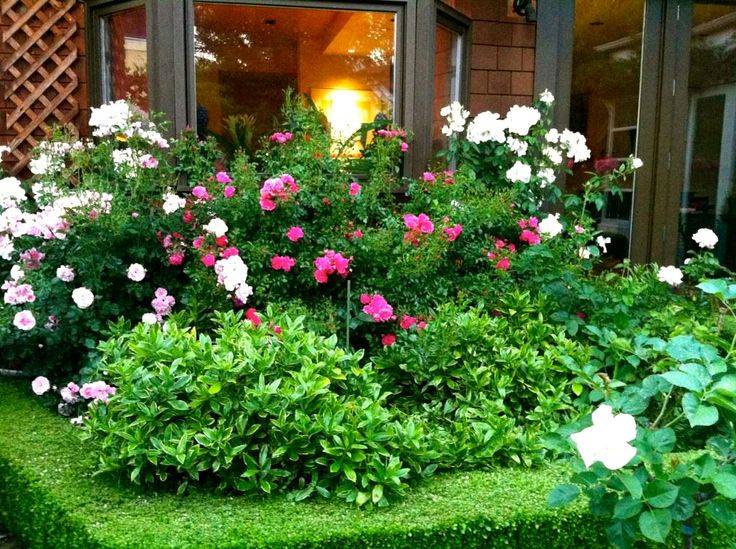 22 Pink Garden Design Ideas Worth a Look | SharonSable
