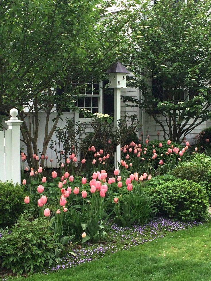 24 Spring Garden Pink Ideas You Must Look | SharonSable