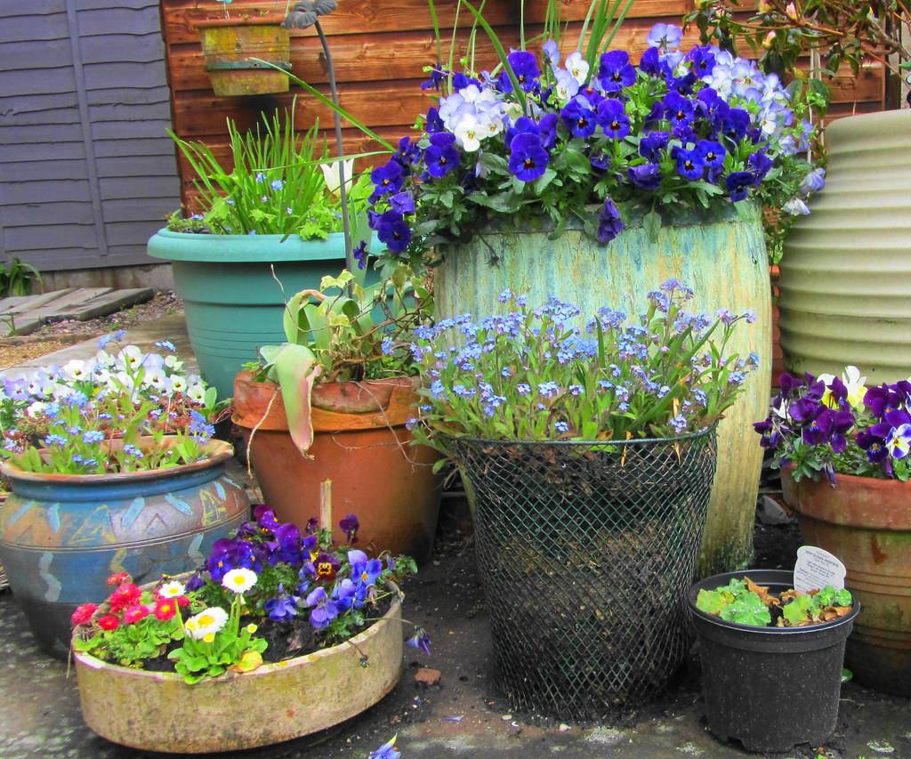 21 Recycled Container Gardening Ideas You Should Look | SharonSable