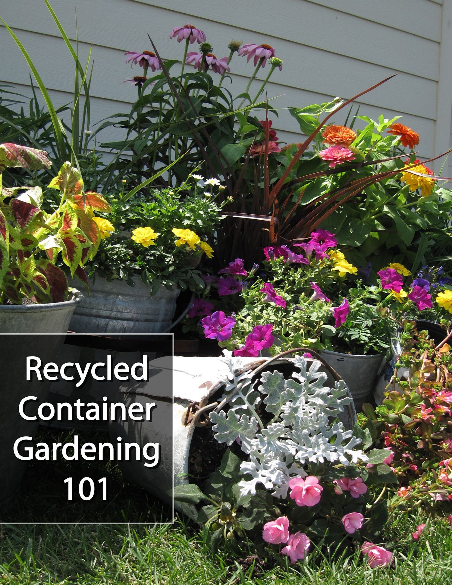 21 Recycled Container Gardening Ideas You Should Look | SharonSable