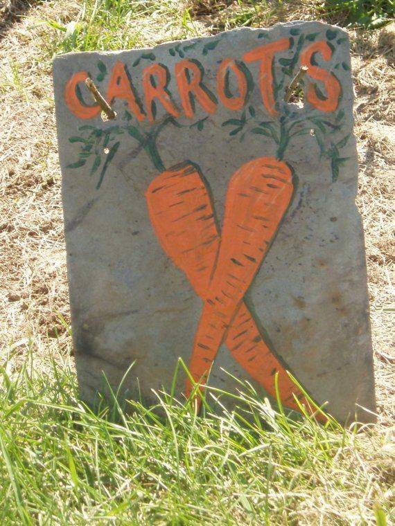 20 Carrot Garden Sign Ideas You Cannot Miss | SharonSable