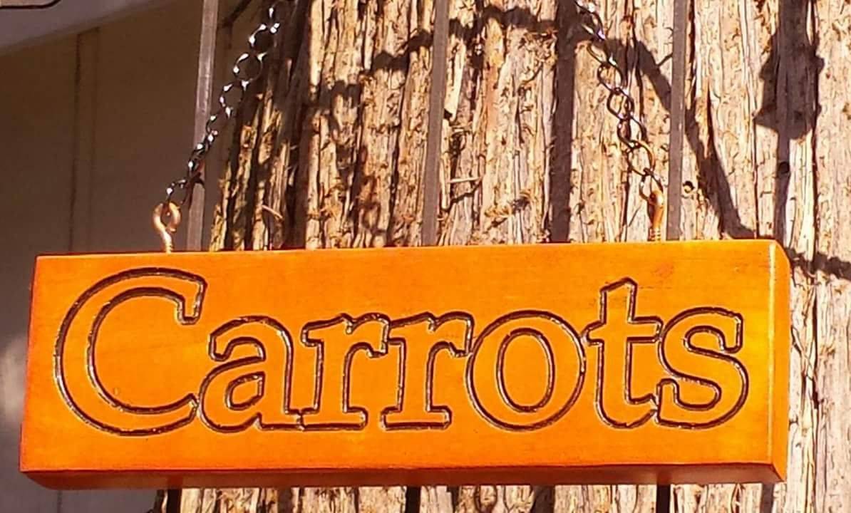 20 Carrot Garden Sign Ideas You Cannot Miss | SharonSable