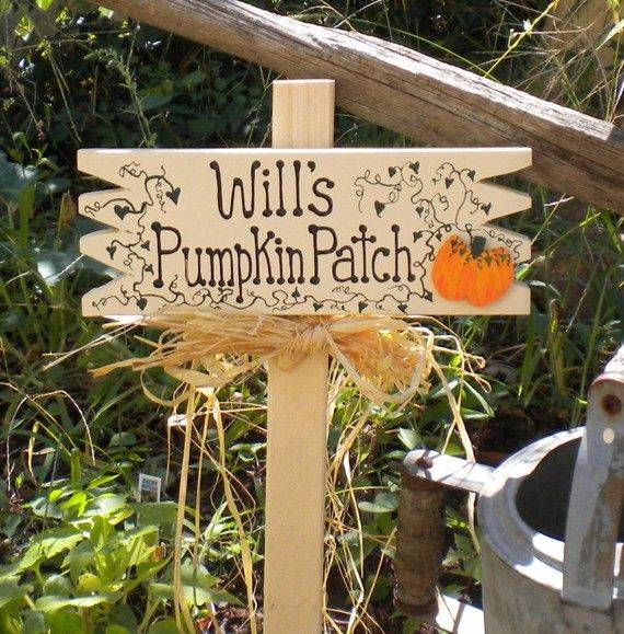 20 Carrot Garden Sign Ideas You Cannot Miss | SharonSable