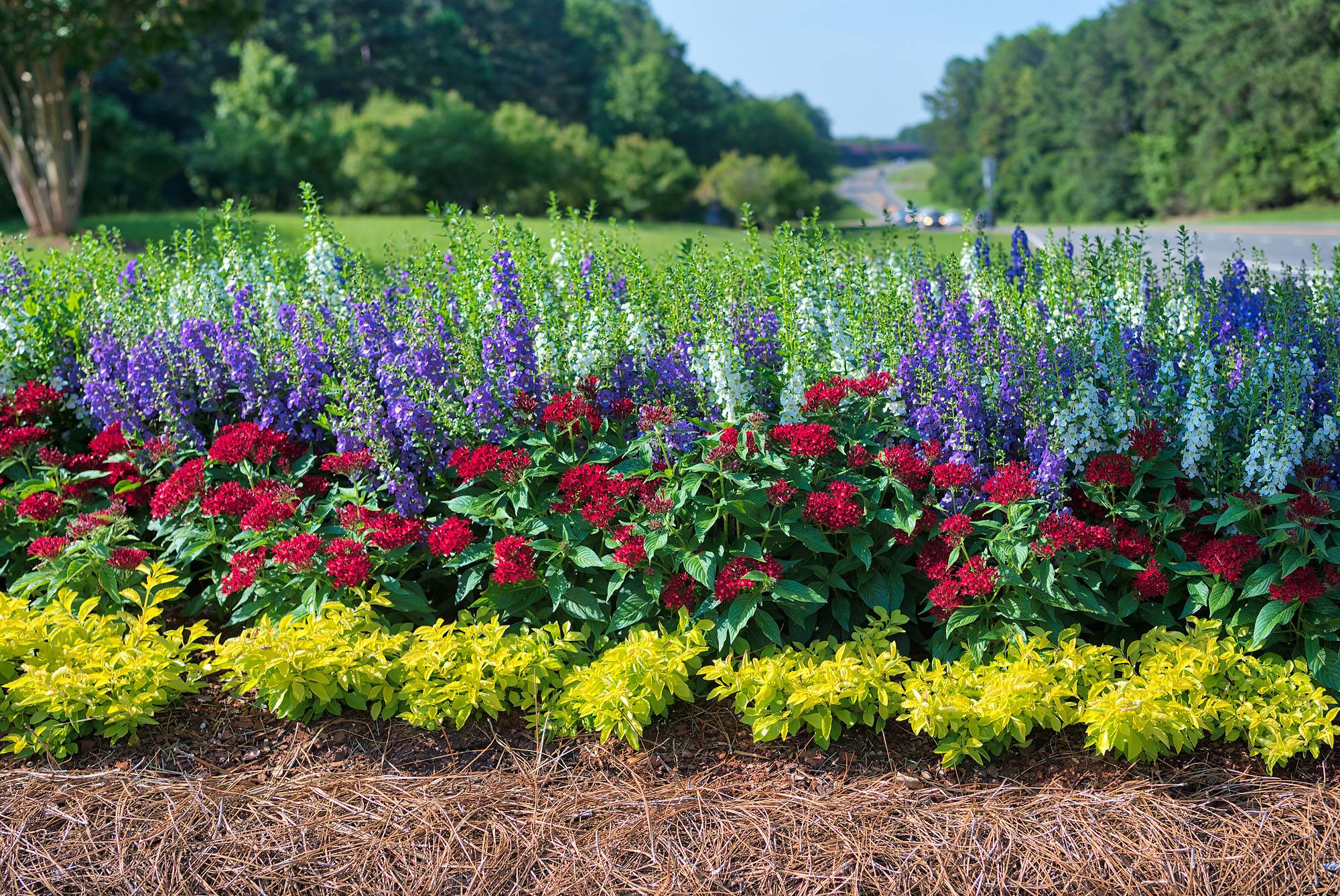 23 White Mixed Border Garden Ideas You Should Check | SharonSable