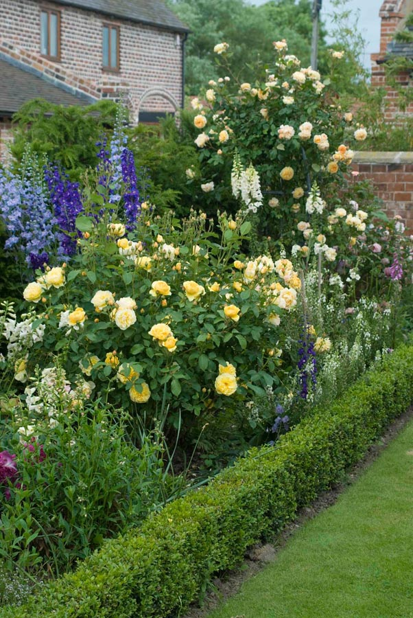 23 White Mixed Border Garden Ideas You Should Check | SharonSable