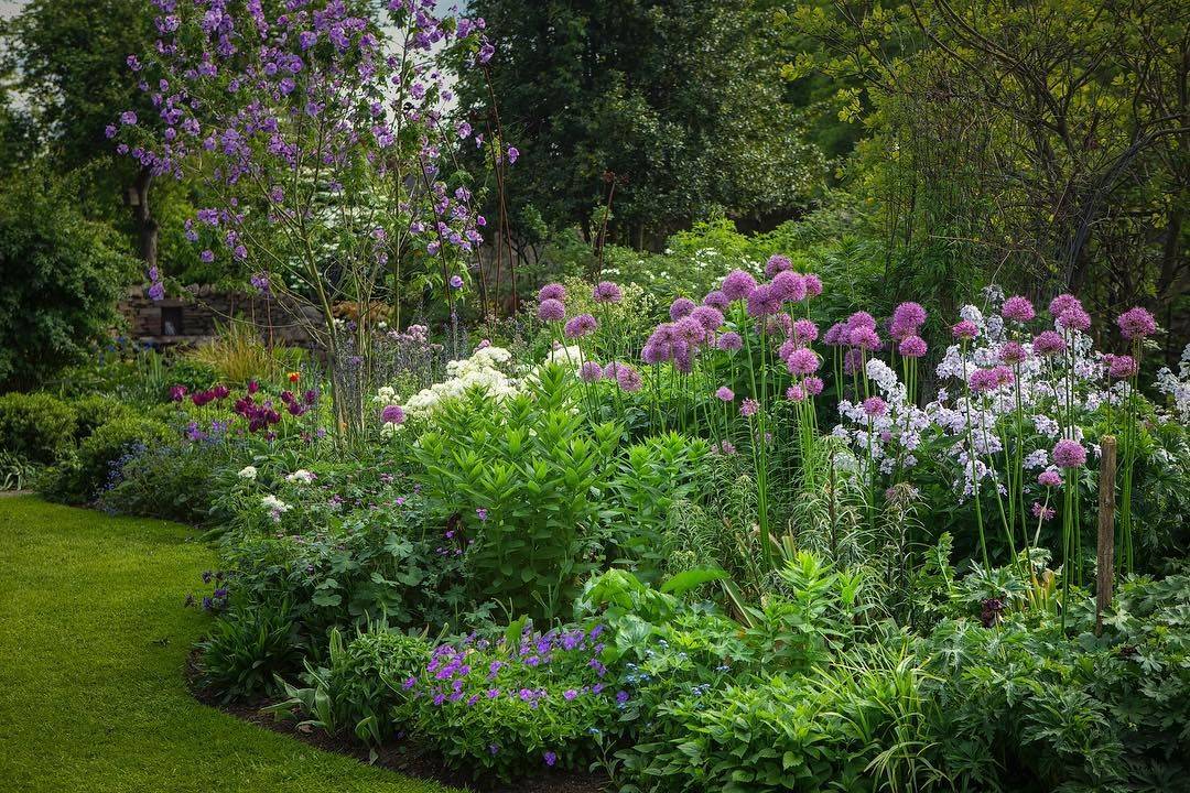 23 White Mixed Border Garden Ideas You Should Check | SharonSable