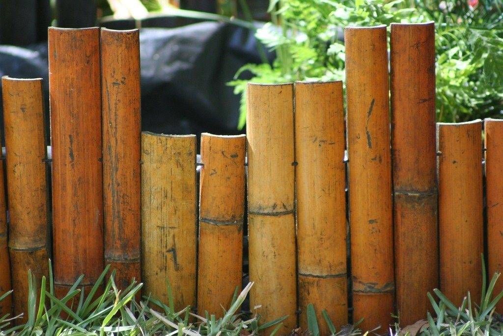 24 Bamboo Garden Border Ideas You Should Look | SharonSable