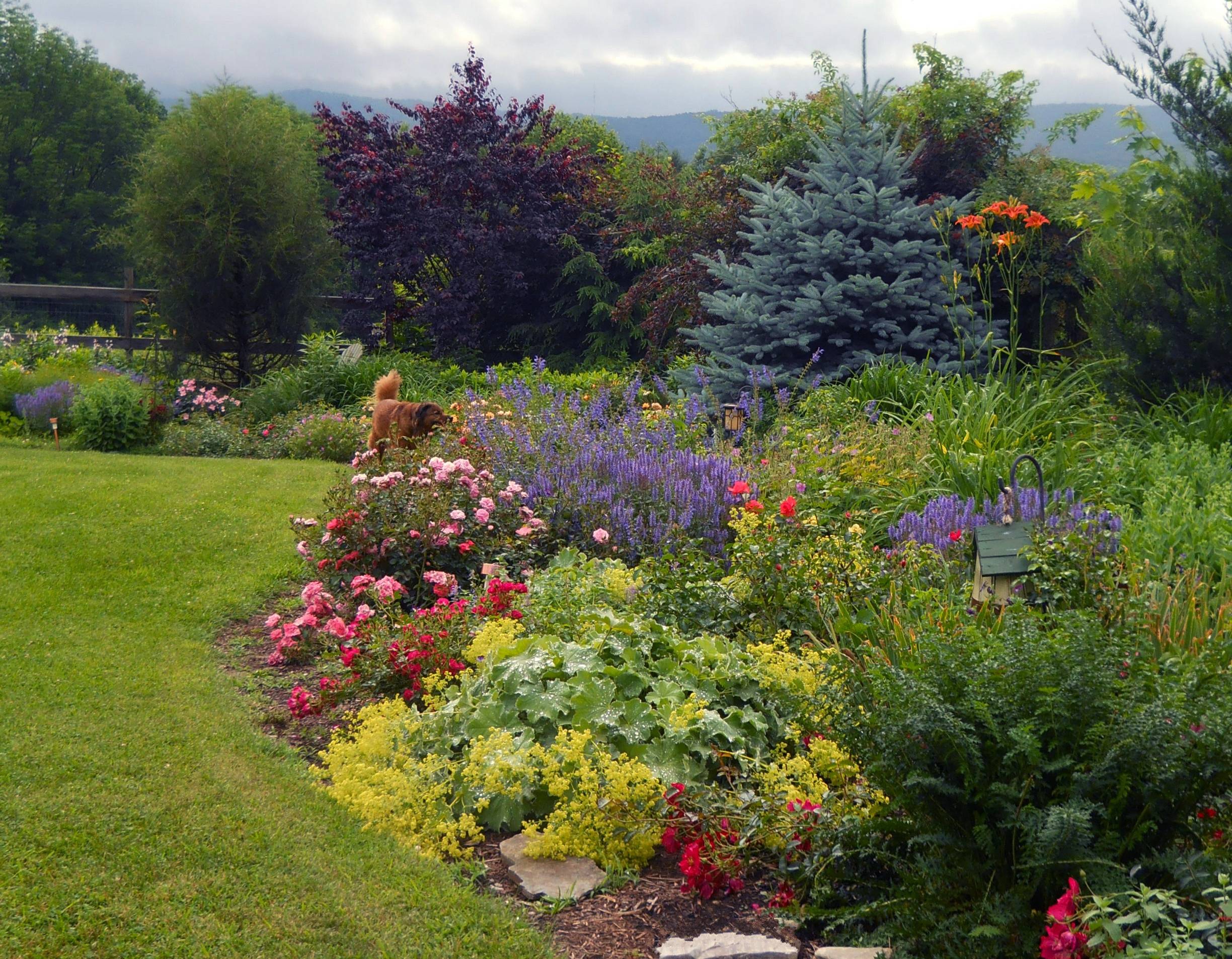 21 Easy Garden Border Design Ideas For This Year | SharonSable