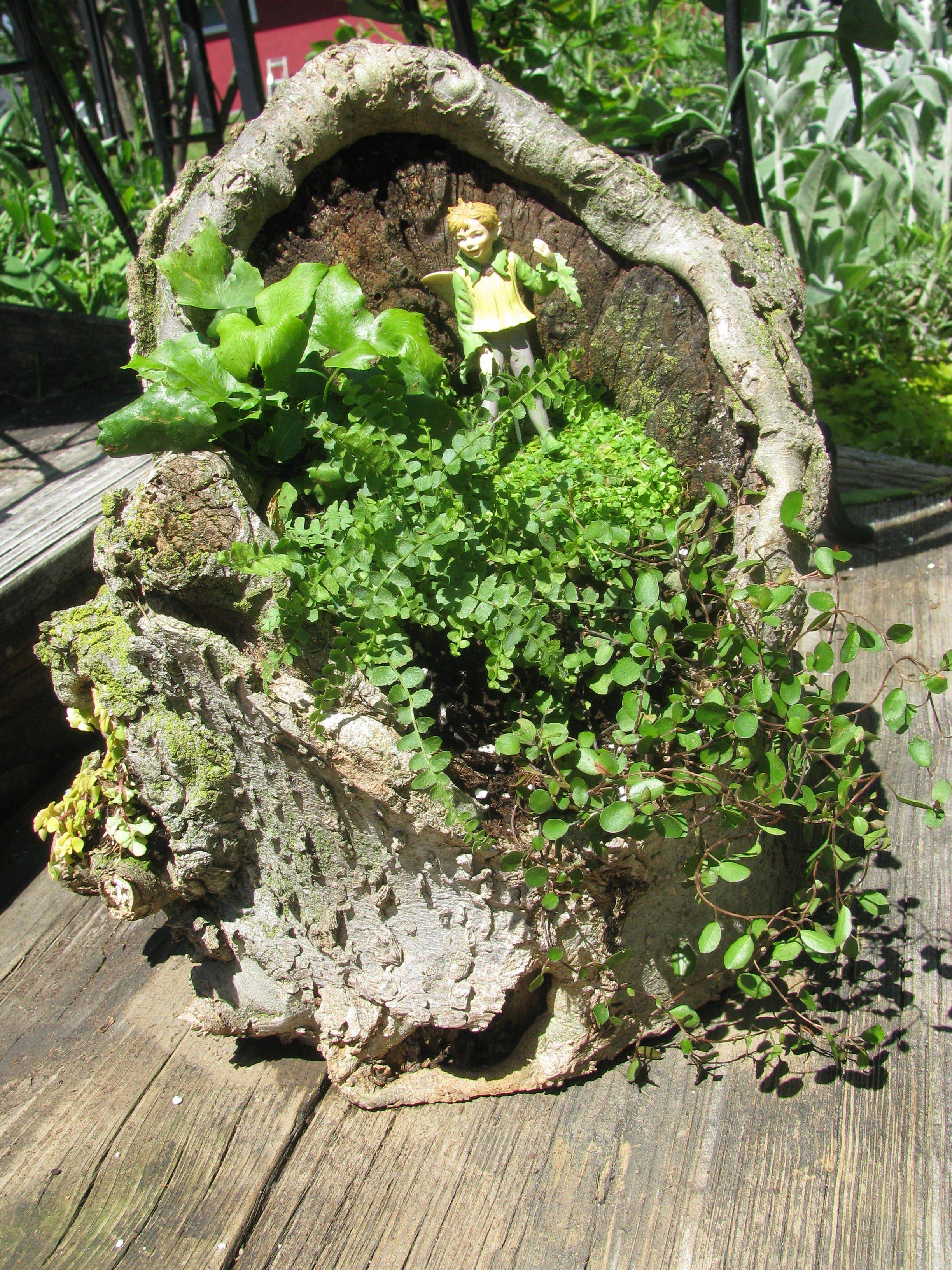 25 Fairy Garden Bridge Ideas To Consider | SharonSable