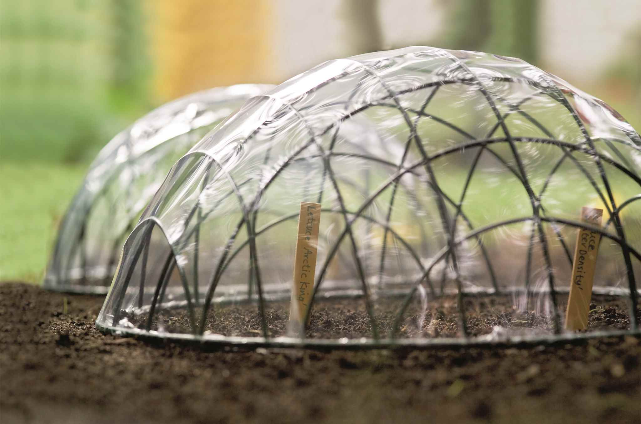 20 Garden Cloche Ideas You Must Look | SharonSable