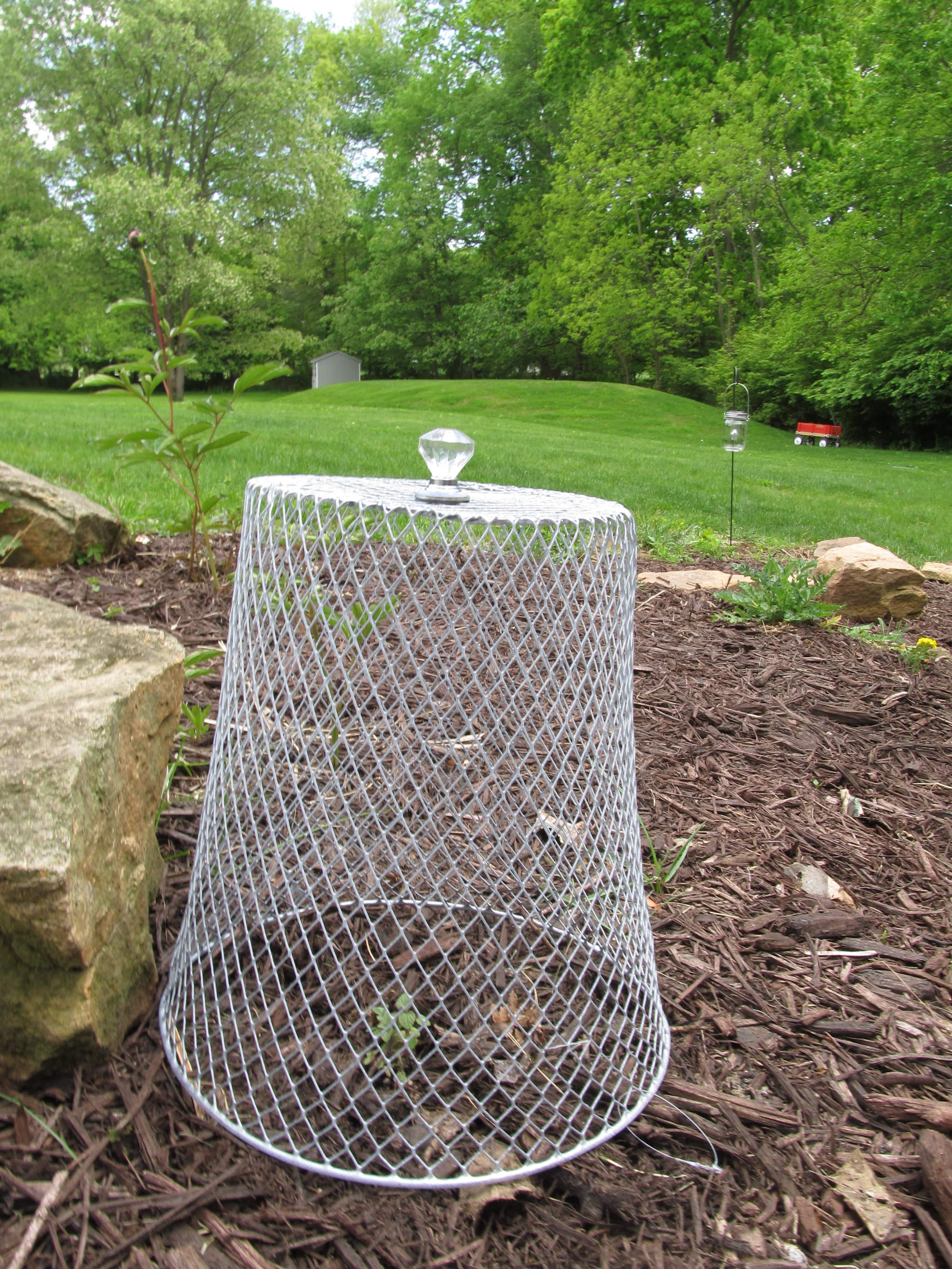 20 Garden Cloche Ideas You Must Look | SharonSable