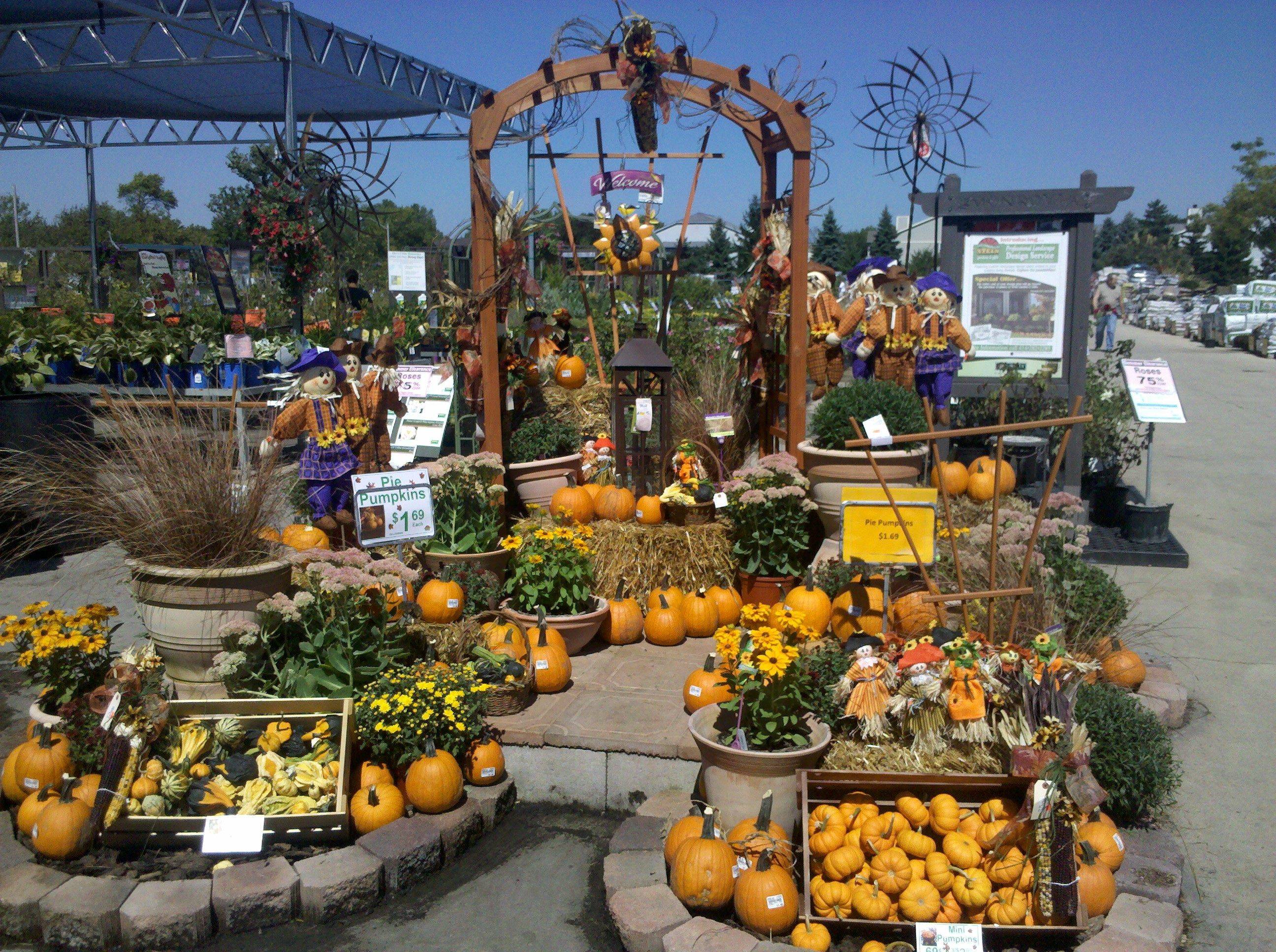 22 Retail Garden Center Displays Ideas You Must Look | SharonSable