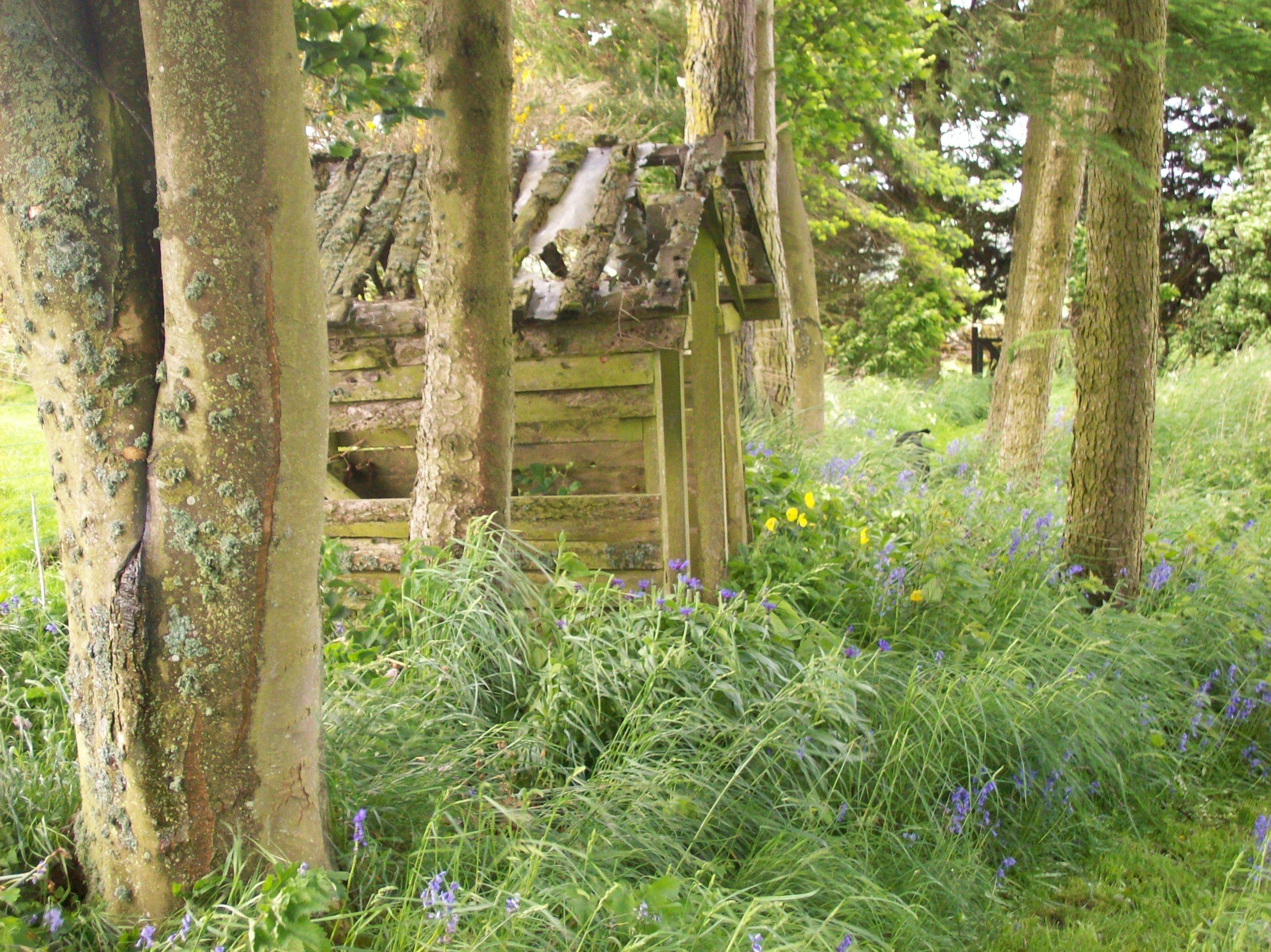 24 Garden in Scotland Ideas You Should Check | SharonSable